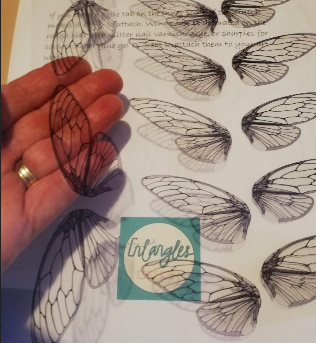 Acetate Cicada/Fairy Wing Sheet